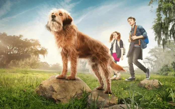 Film sui cani: i 10 migliori film sui cani per un weekend fantastico ...